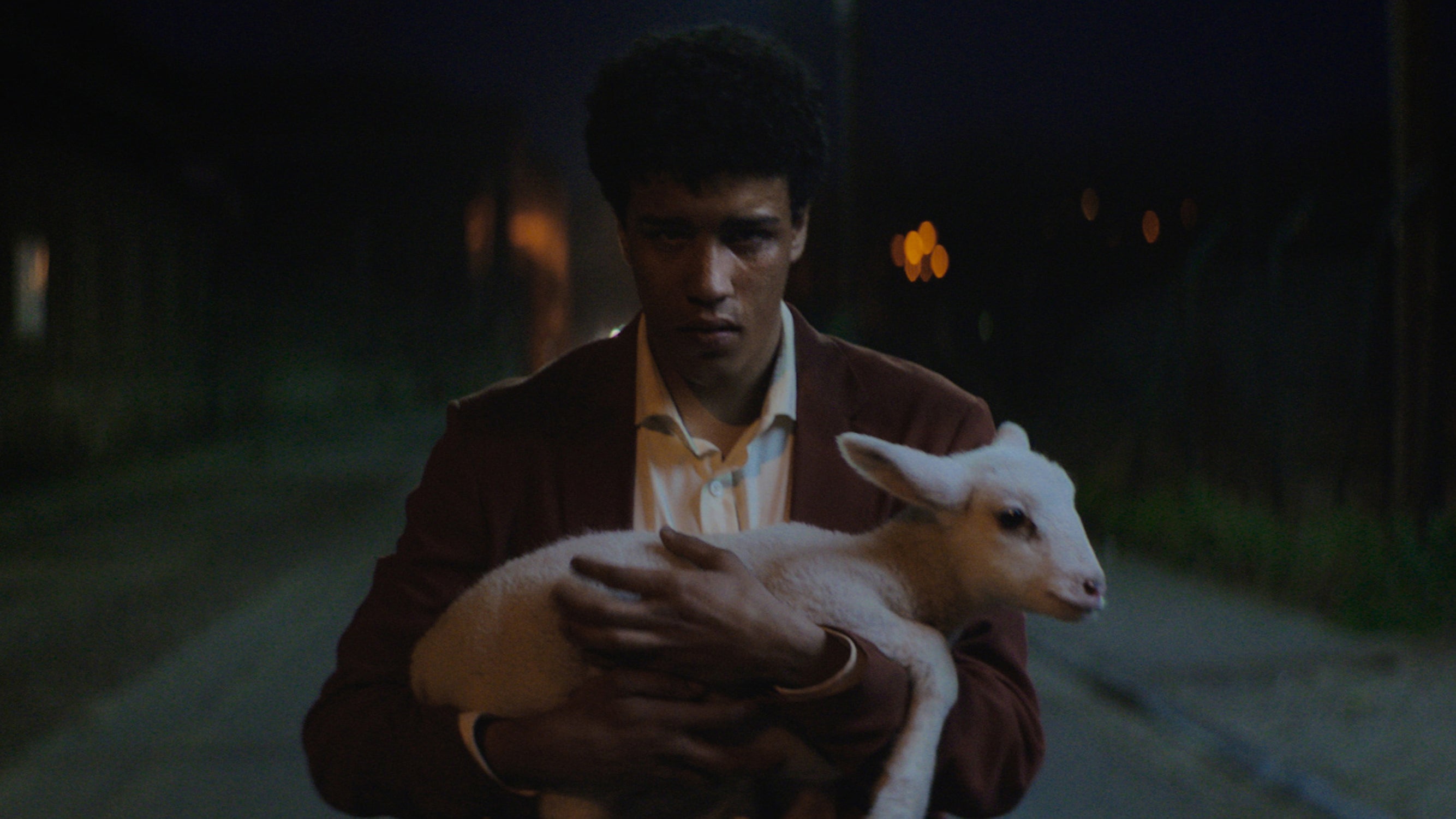 Stray Sheep Teaser – Patta UK